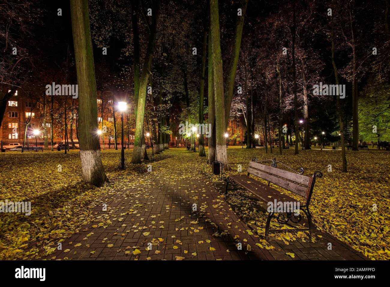 City night park in autumn with paths strewn, fallen yellow leaves ...