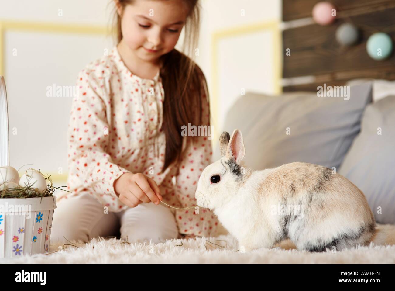 Hand having egg hi-res stock photography and images - Alamy