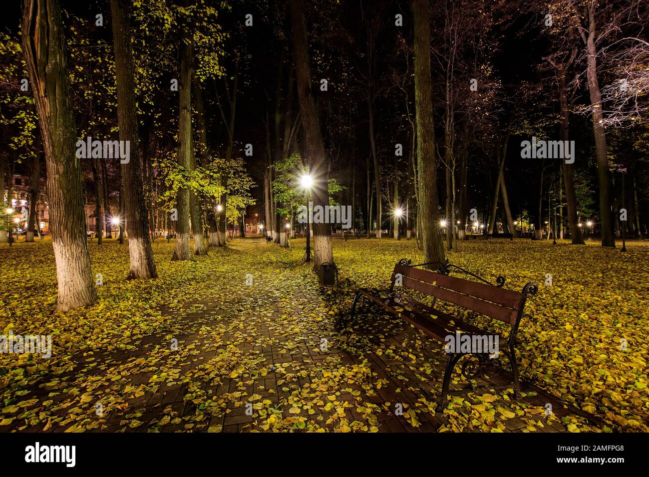 City night park in autumn with paths strewn, fallen yellow leaves ...