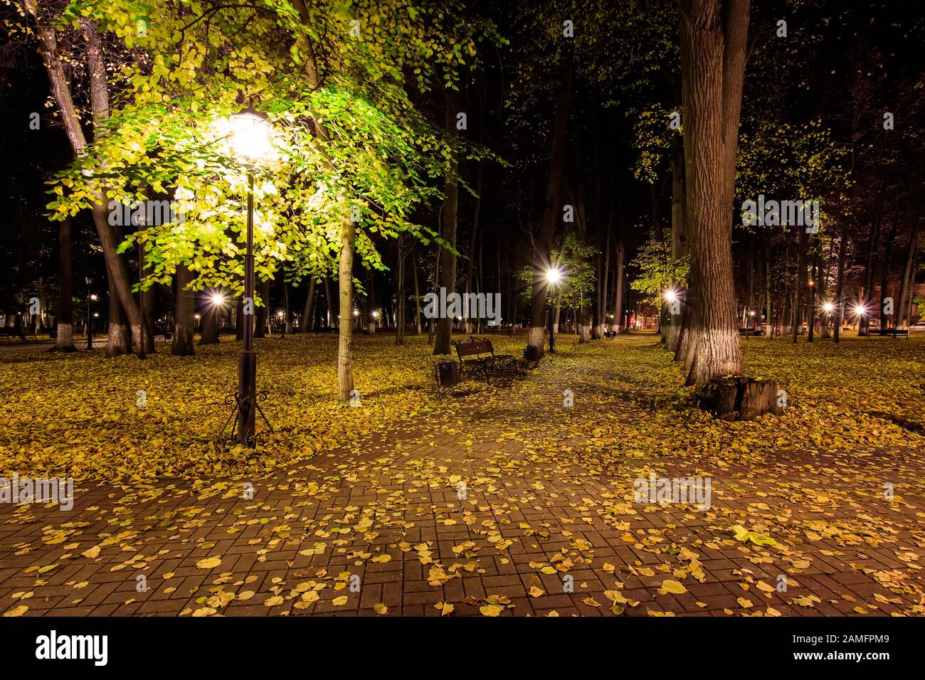 City night park in autumn with paths strewn, fallen yellow leaves ...