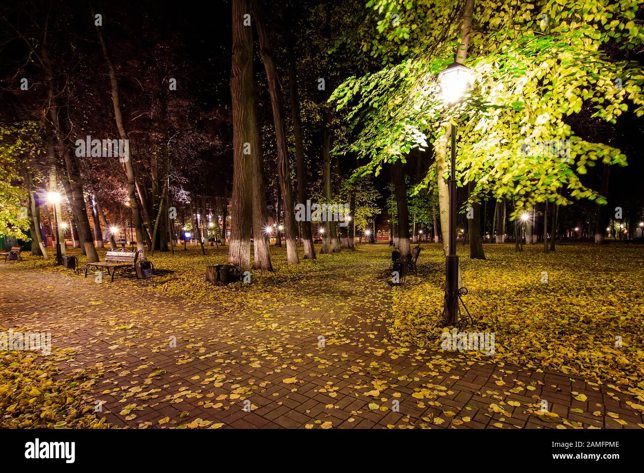 City night park in autumn with paths strewn, fallen yellow leaves ...