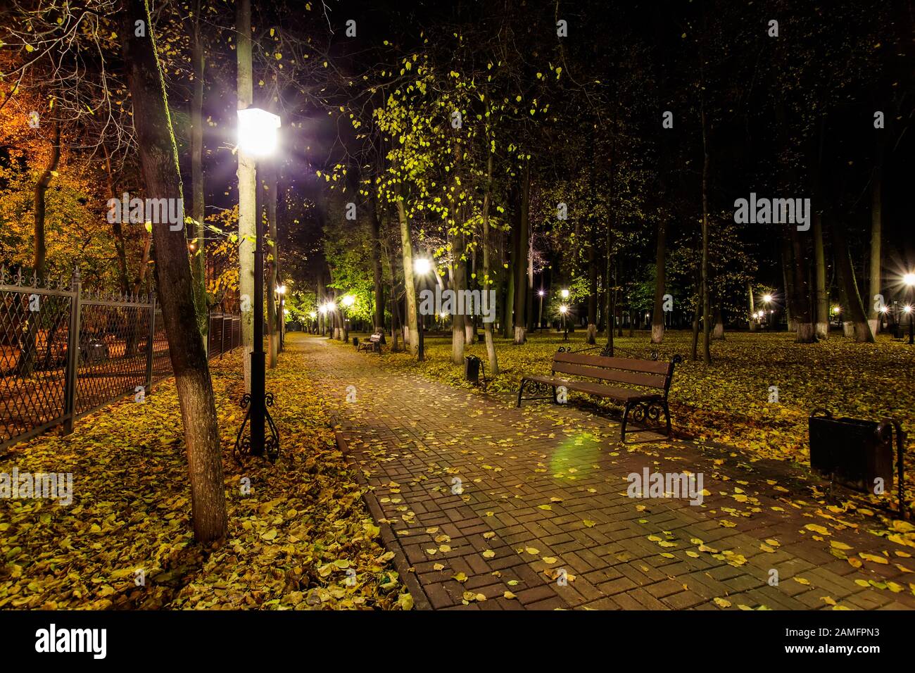 City night park in autumn with paths strewn, fallen yellow leaves ...