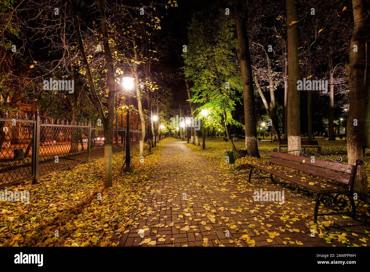 City night park in autumn with paths strewn, fallen yellow leaves ...