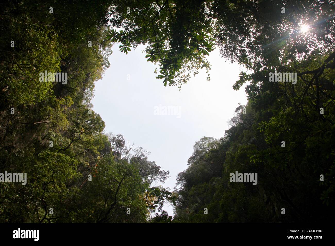 Canopy shaped hi-res stock photography and images - Alamy