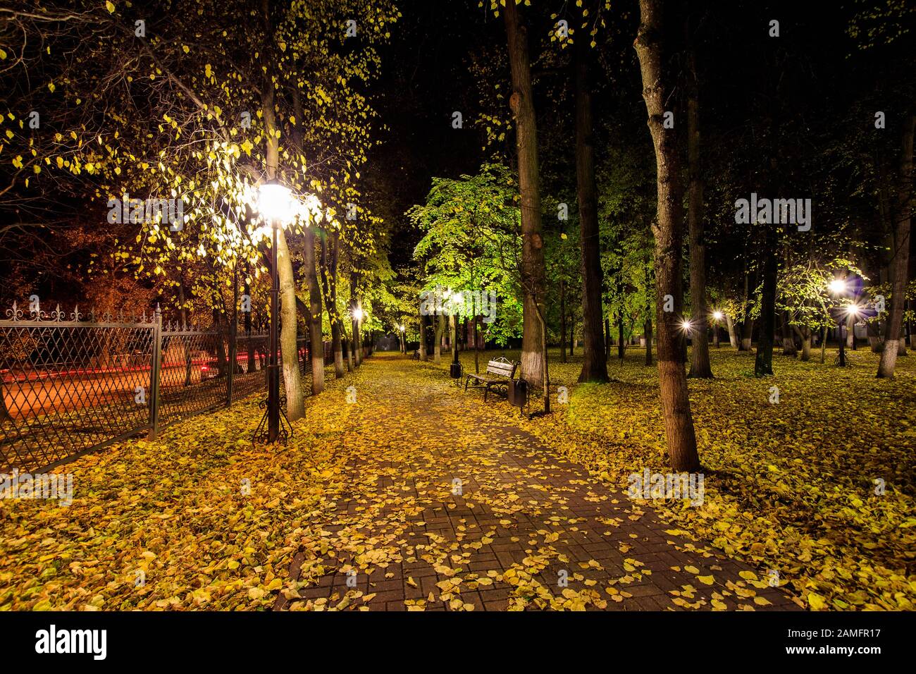 City night park in autumn with paths strewn, fallen yellow leaves ...