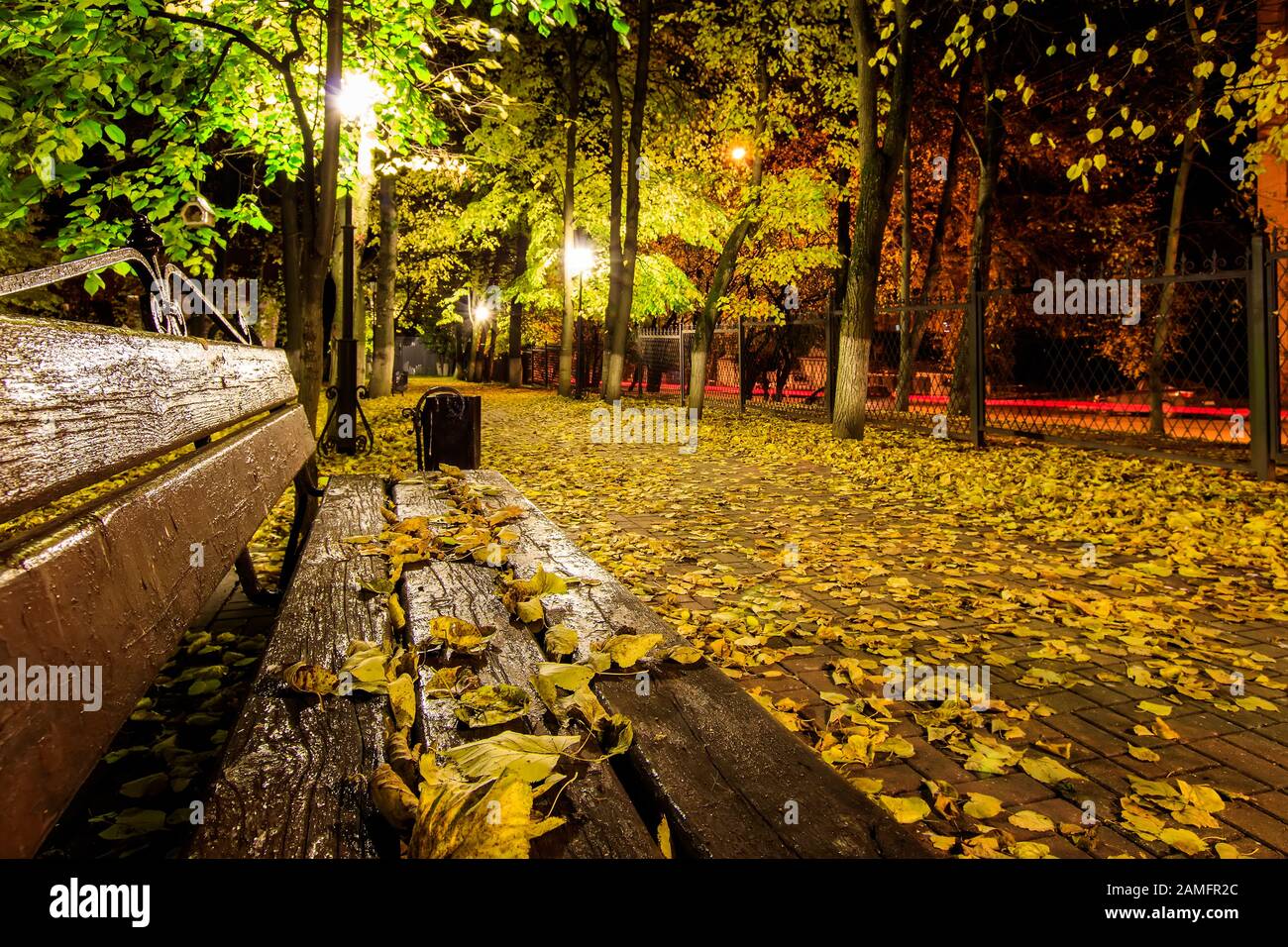 City night park in autumn with paths strewn, fallen yellow leaves ...