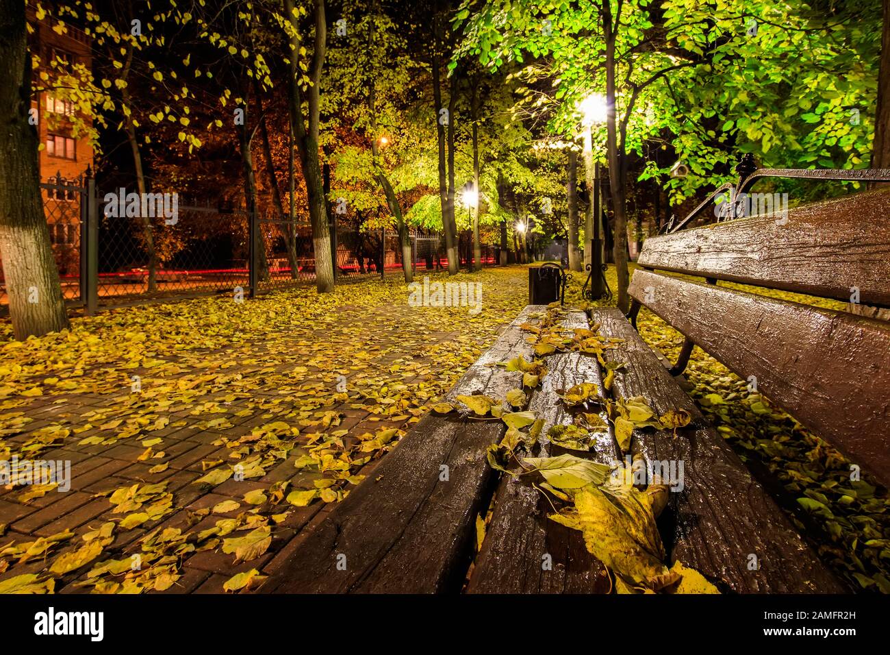 City night park in autumn with paths strewn, fallen yellow leaves ...
