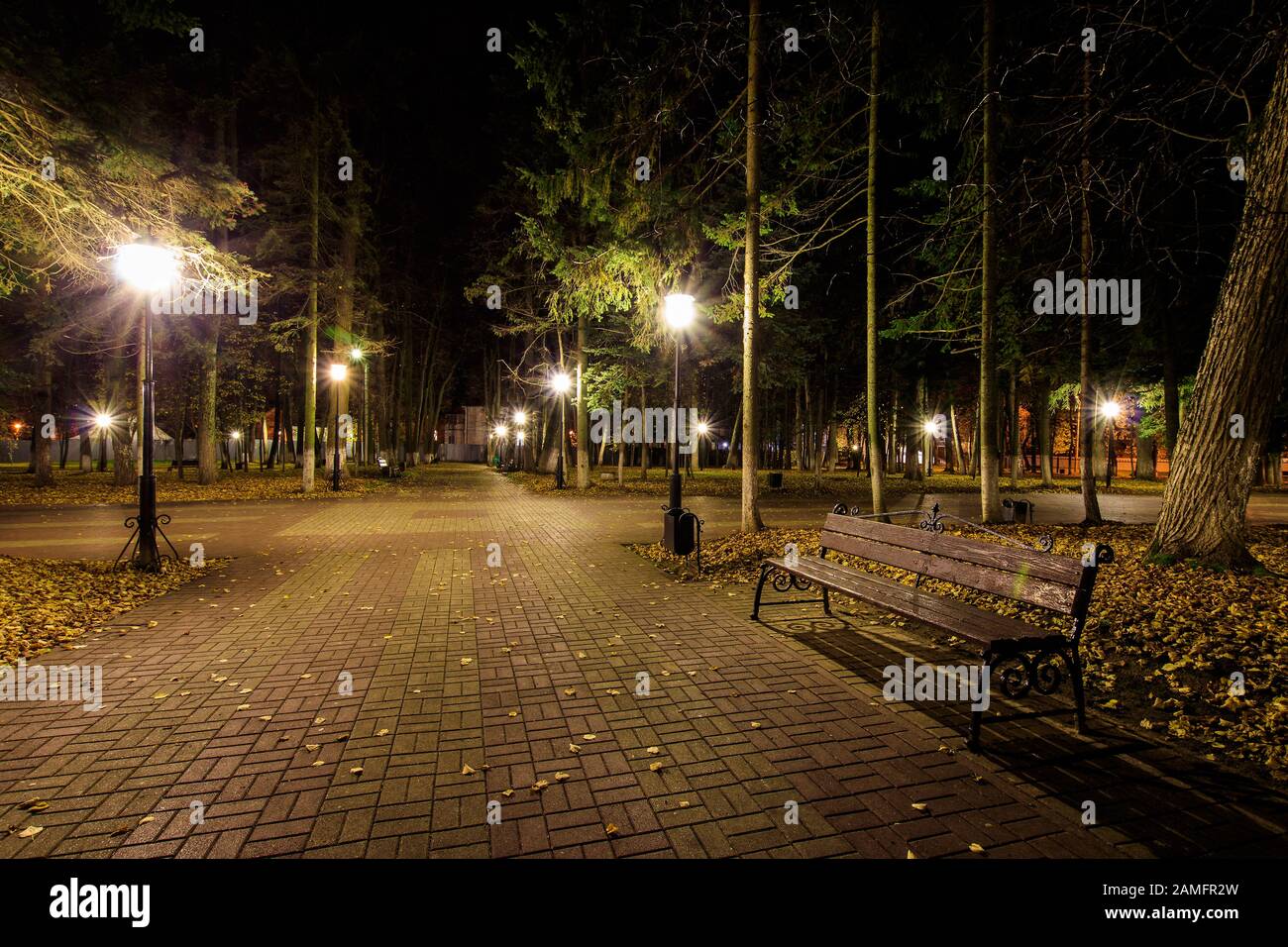 City night park in autumn with paths strewn, fallen yellow leaves ...