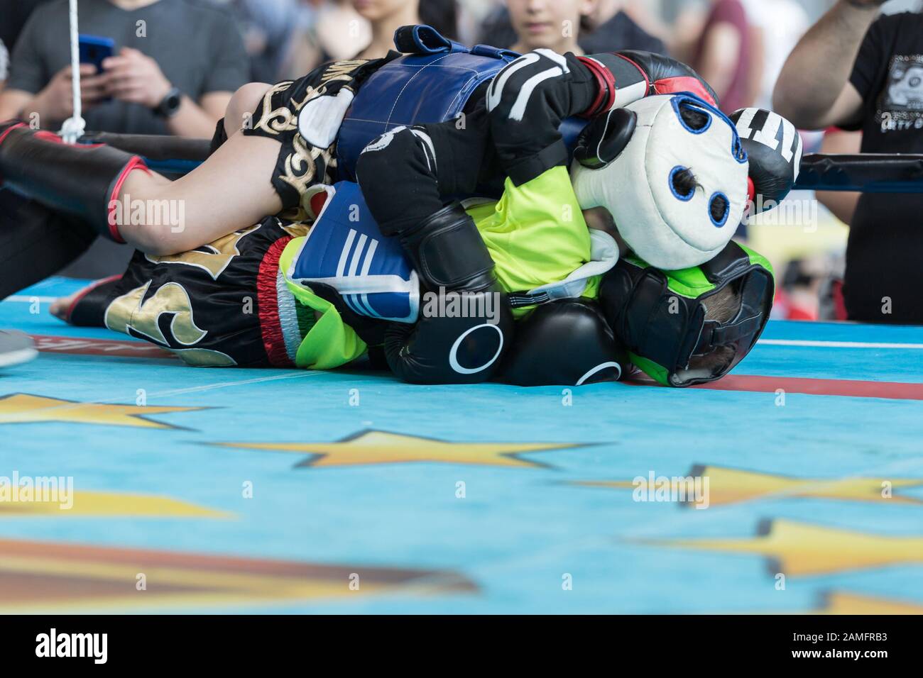 Children Fighting a Boxing Match on the Ground in the Ring with Head ...