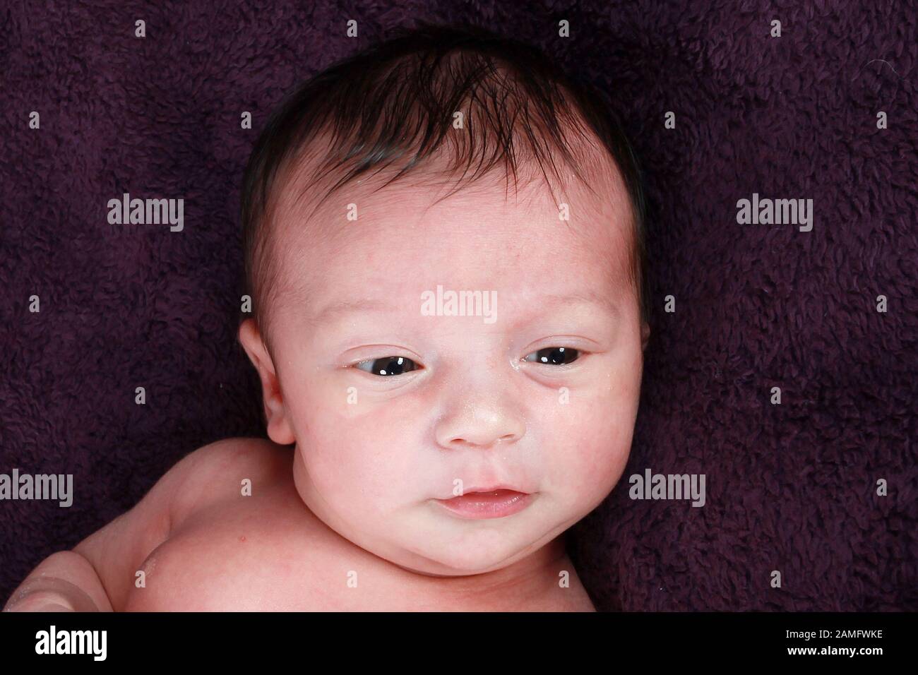 Baby milestone hi-res stock photography and images - Alamy