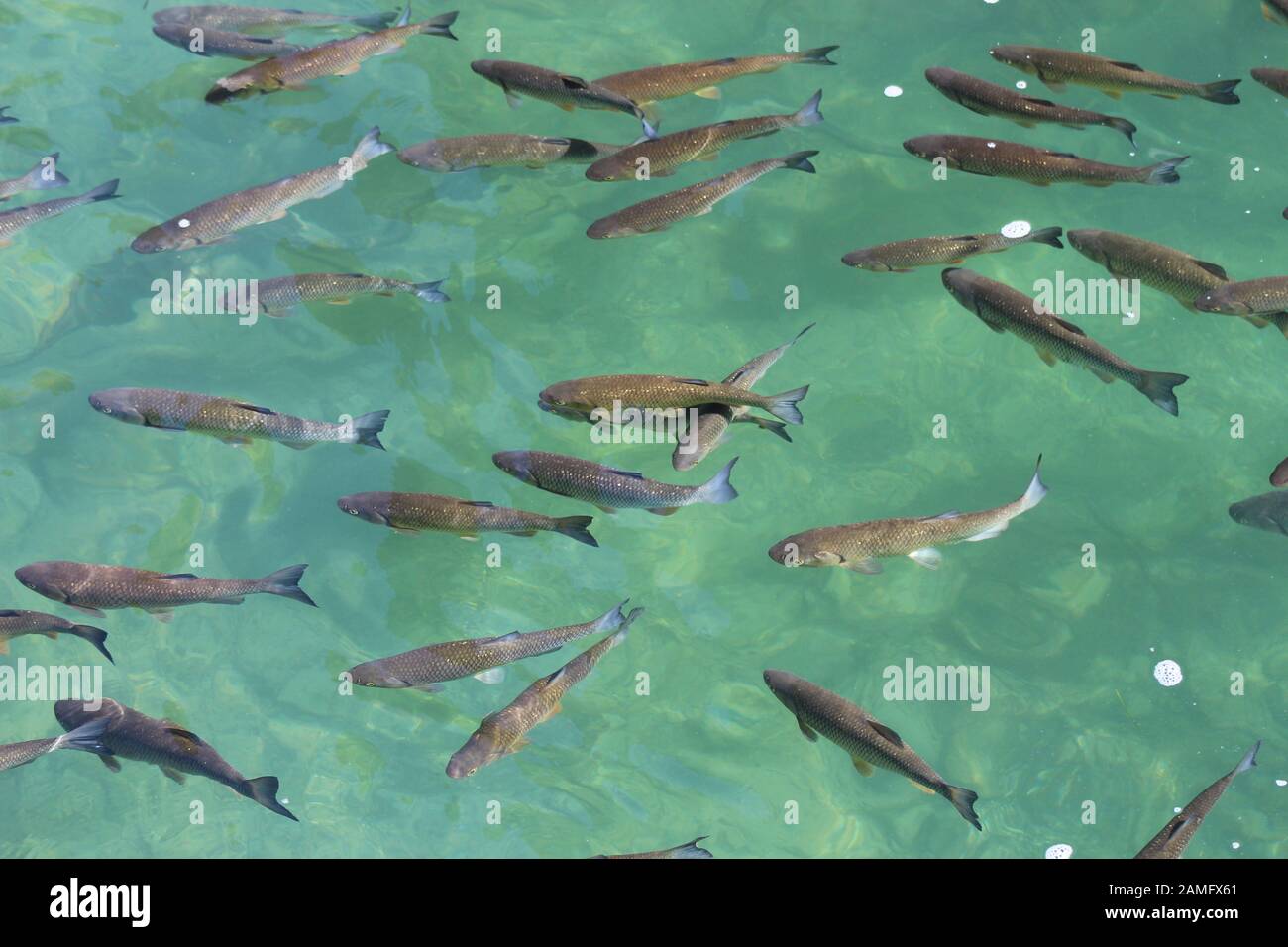 Emerald color water hi-res stock photography and images - Alamy