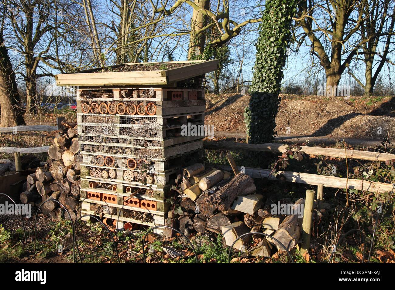 Bug hotel pallet hi-res stock photography and images - Alamy