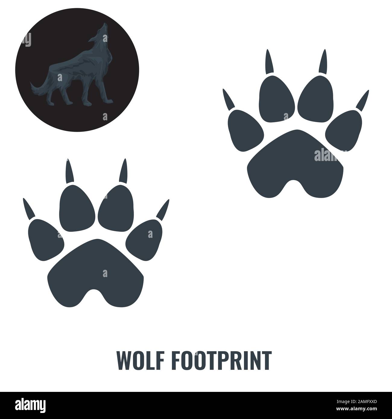 Wolf footprint. Flat and solid color vector illustration Stock Vector ...