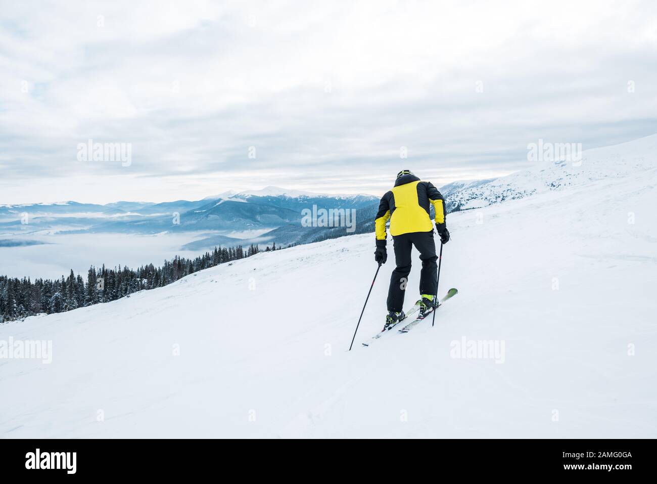 back view of sportsman holding ski sticks and skiing on white slope ...