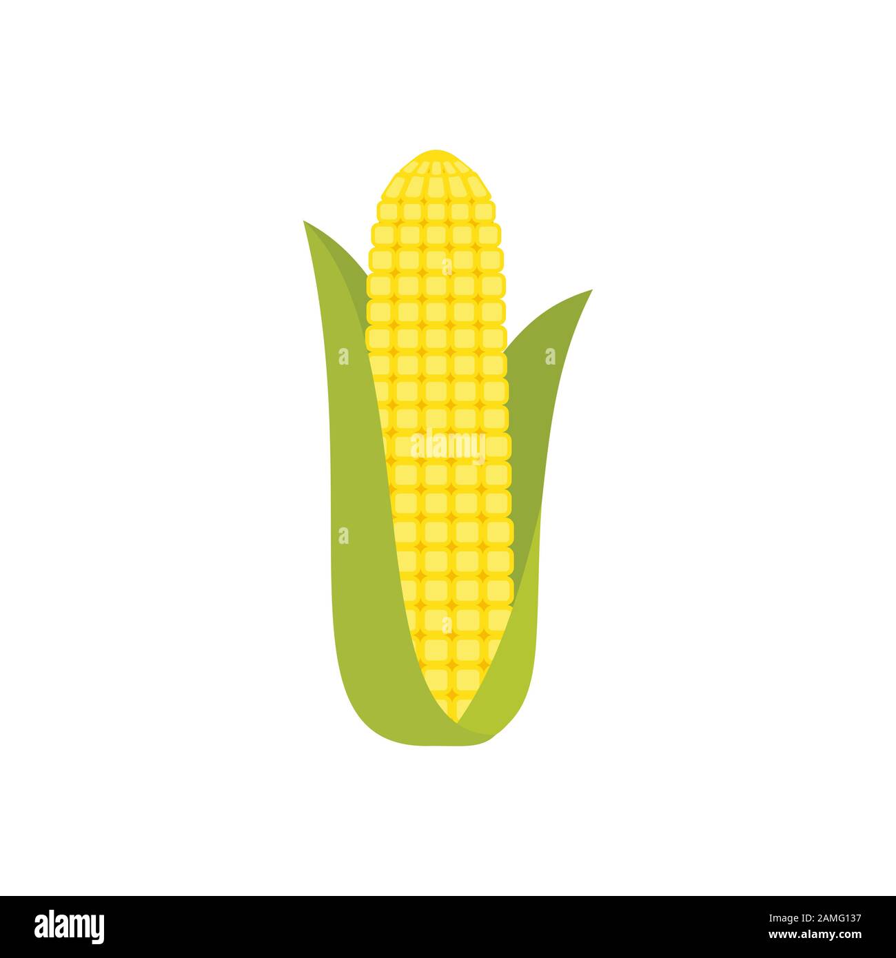 Corn cob in a green husk isolated on white background. Sweet golden ...