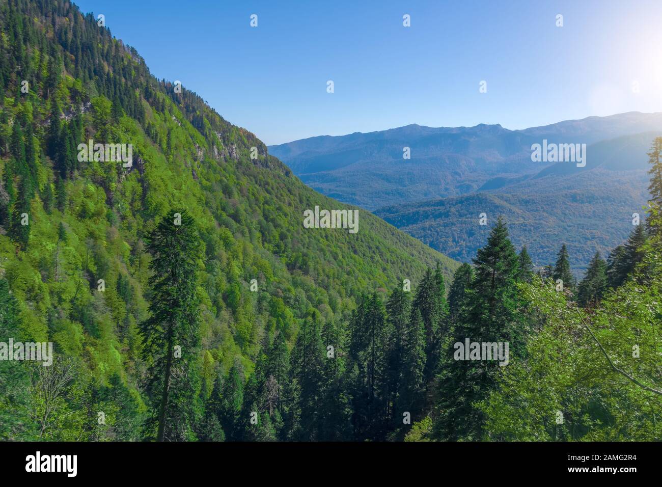Picturesque village in dense forest hi-res stock photography and images ...