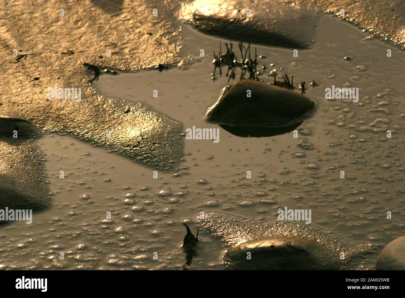 Wet muddy area hi-res stock photography and images - Alamy