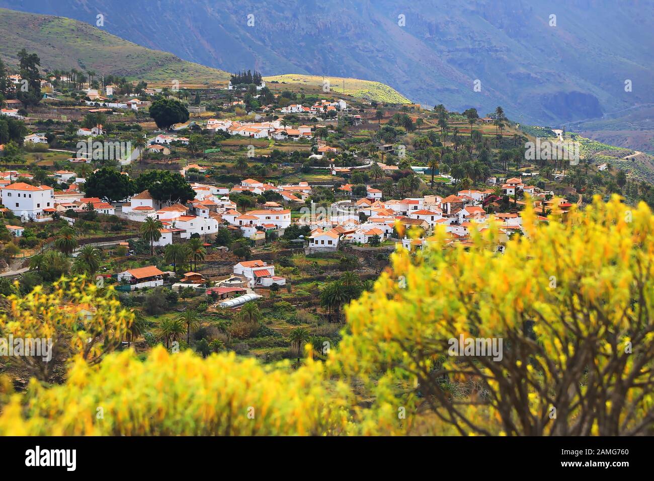 Fataga is a municipality on the island of Gran Canaria Stock Photo - Alamy