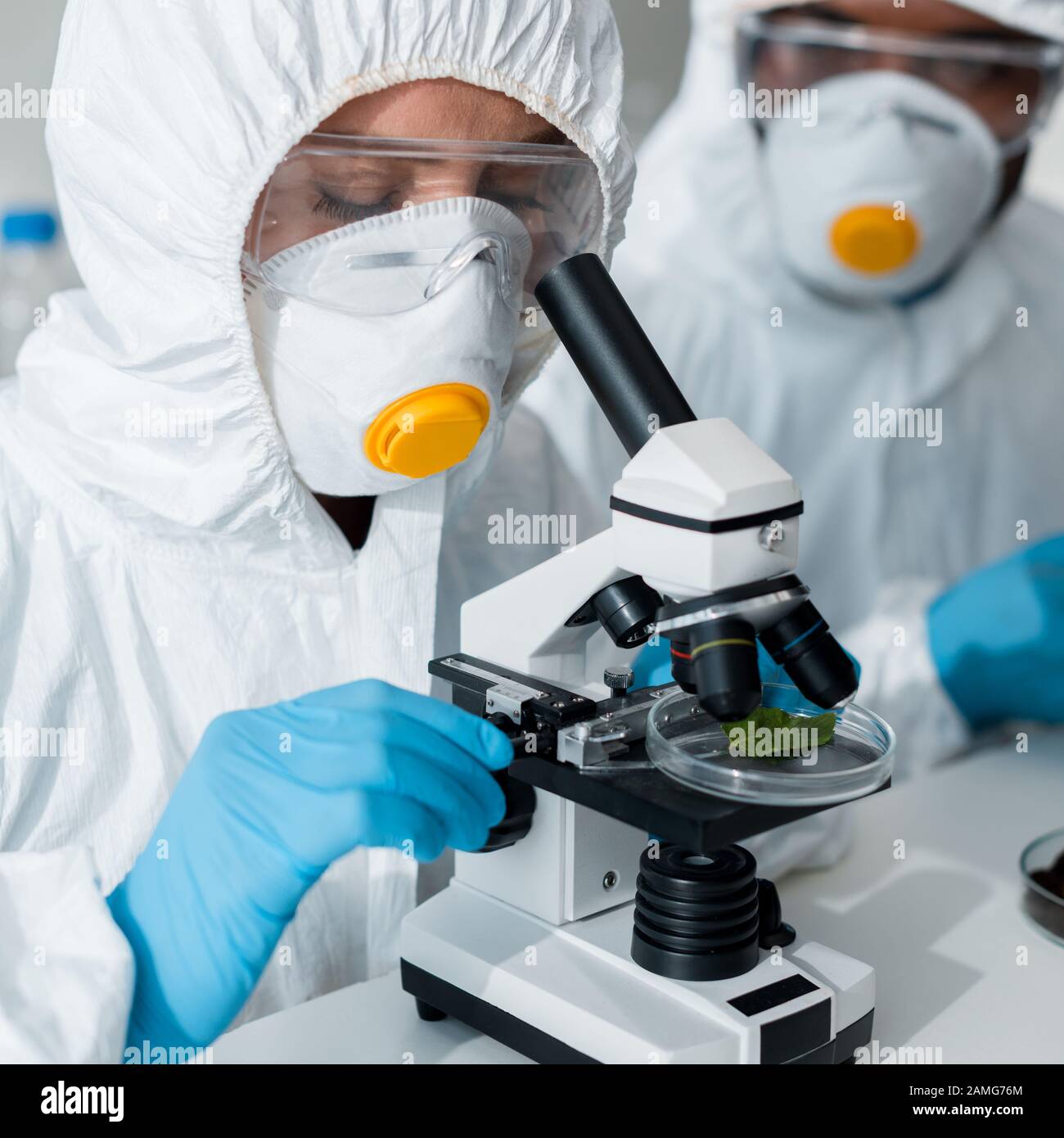 selective focus of biologist using microscope and african american ...