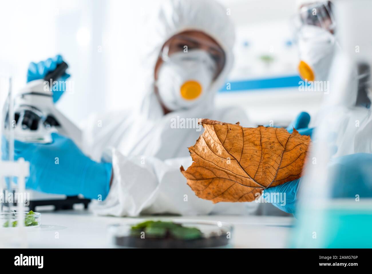 American biologists hi-res stock photography and images - Alamy
