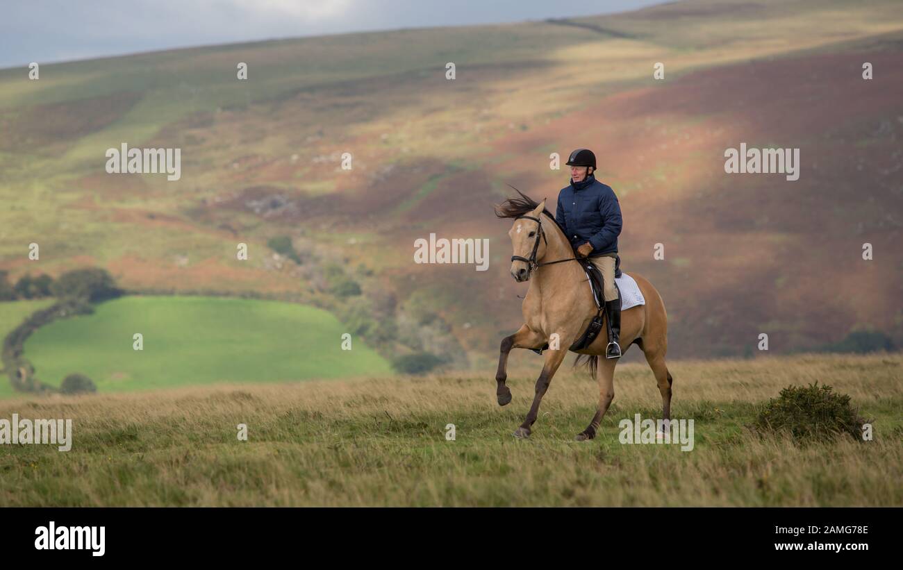 Horse Riding on Dartmoor Stock Photo - Alamy