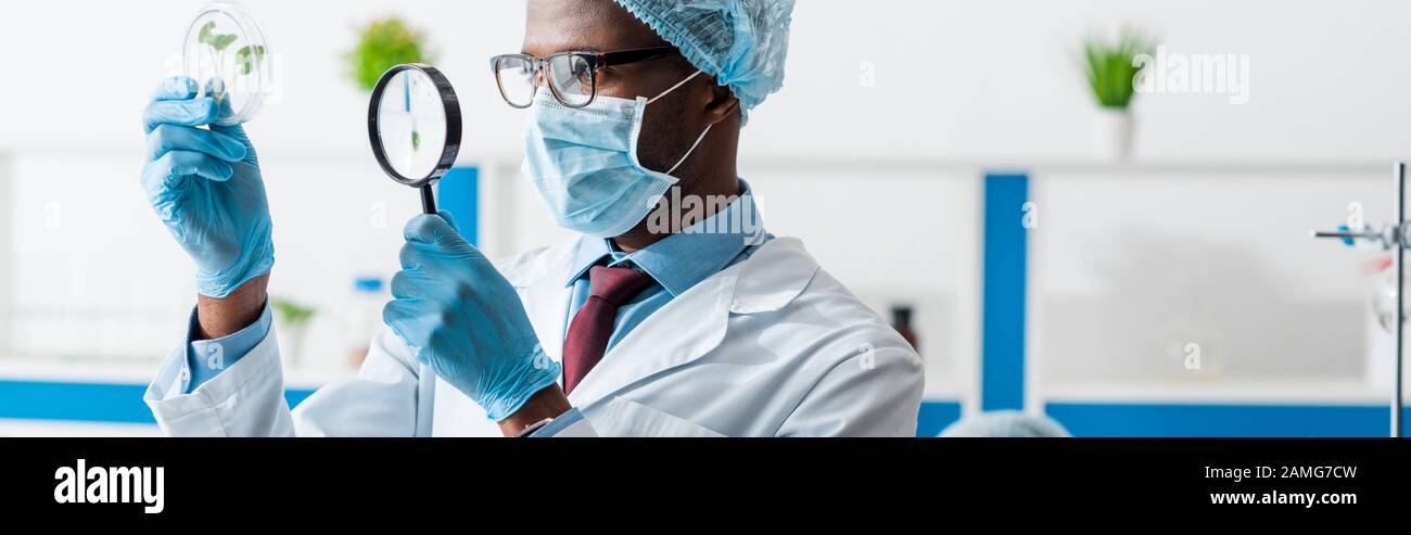 Black american biologist hi-res stock photography and images - Alamy