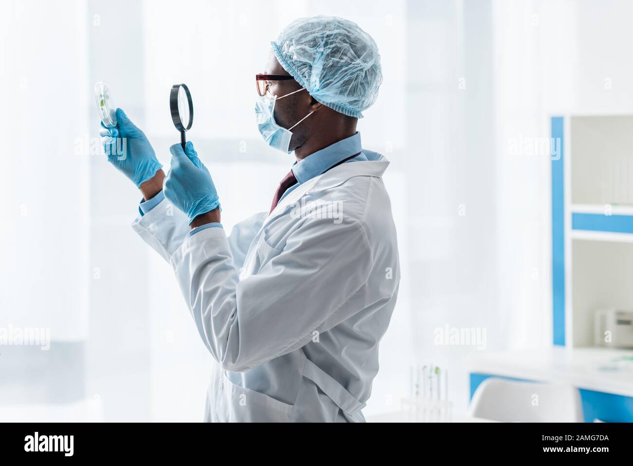 side view of african american biologist looking at leaves with ...
