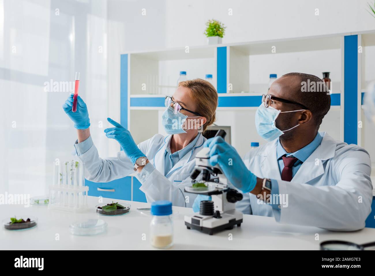 multicultural biologists pointing with finger and looking at test tube ...