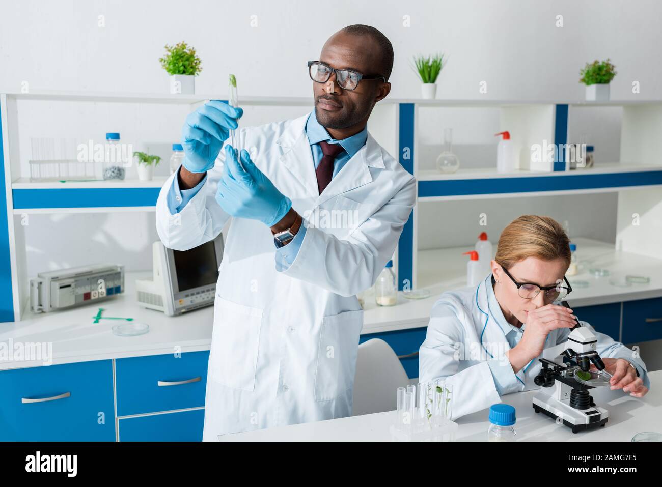 african american biologist holding test tube and colleague using ...