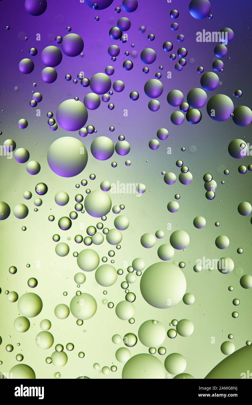 Purple Bubbles Wallpaper