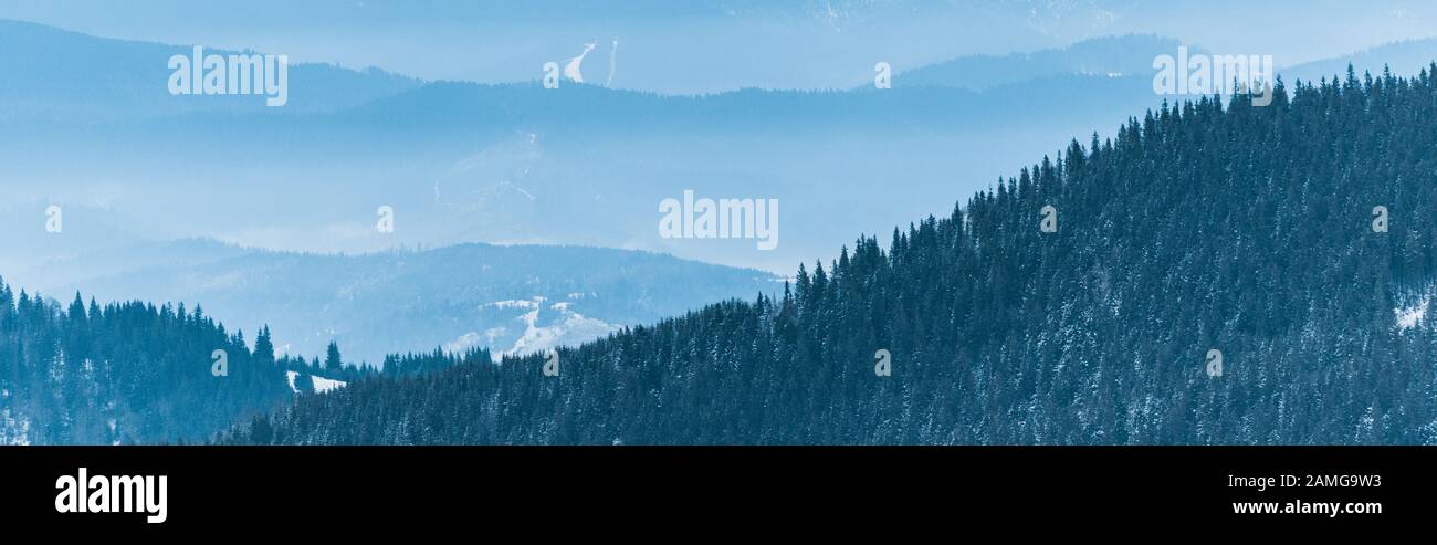 Panoramic shot snowy forest hi-res stock photography and images - Alamy