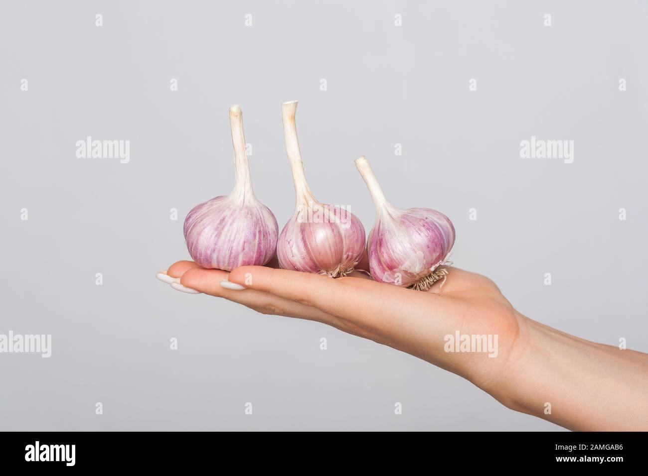 Closeup of female hands holding fresh whole garlic, spices and ripe ...