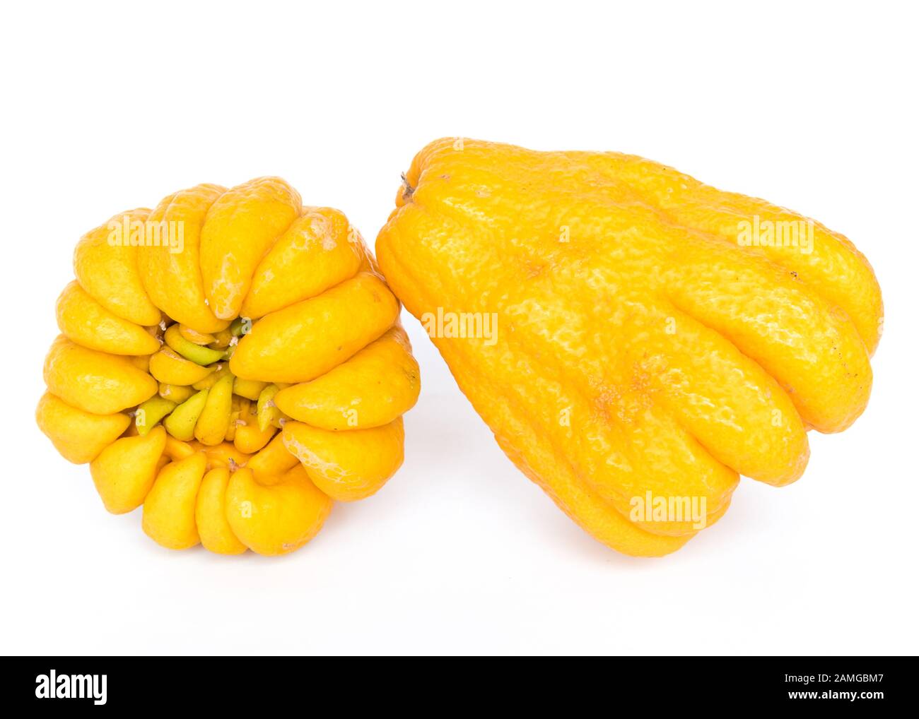 Weird exotic chinese food on hi-res stock photography and images - Alamy