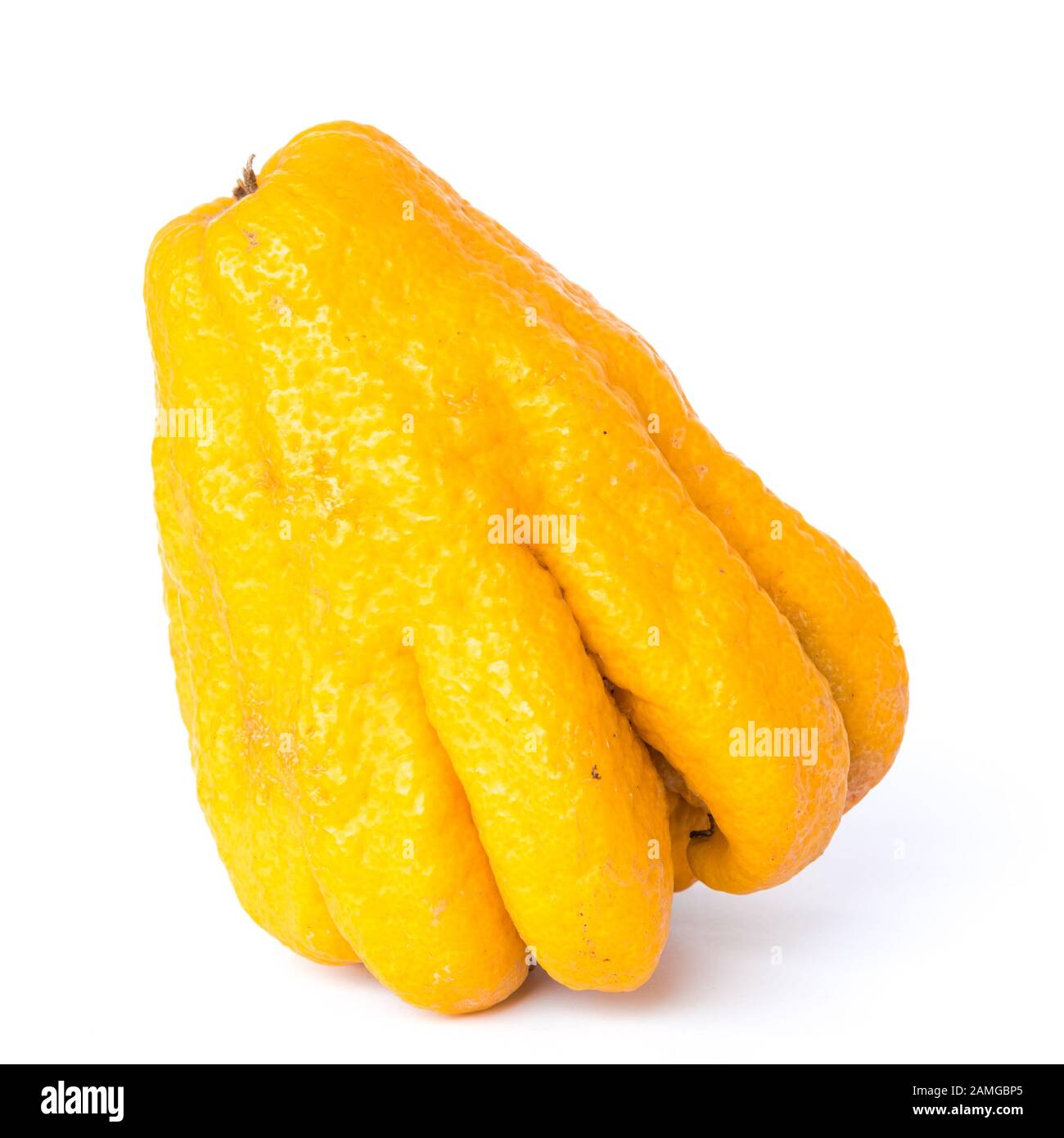 Buddhas hand fruit Cut Out Stock Images & Pictures - Alamy
