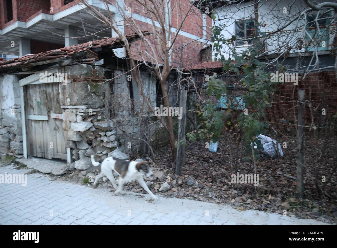 Old house - ruined house - wrecked house - derelict house Stock Photo ...