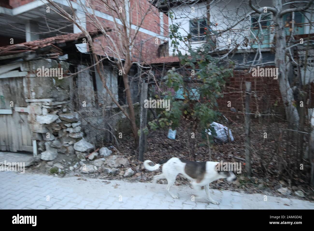 Old house - ruined house - wrecked house - derelict house Stock Photo ...