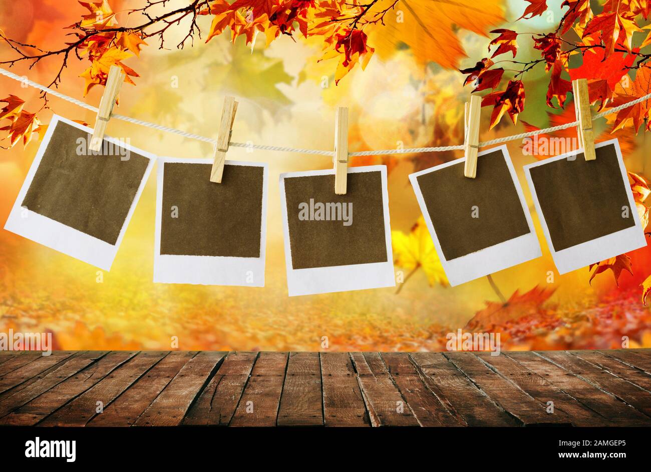 Wooden table with orange fall leaves, autumn natural background Stock ...