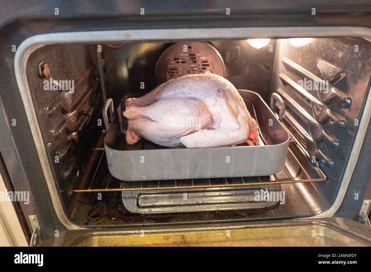 Raw turkey in oven during the preparation of a traditional American ...