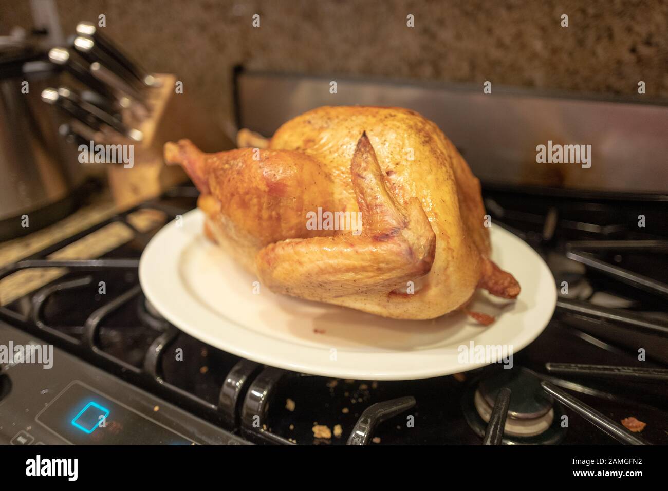 Cooked turkey on platter during the preparation of a traditional ...