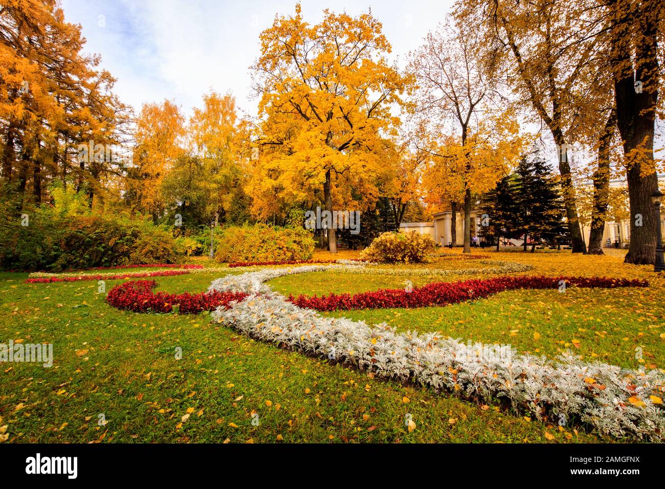 Leaf fall in the park in autumn. Landscape with maples and other trees ...