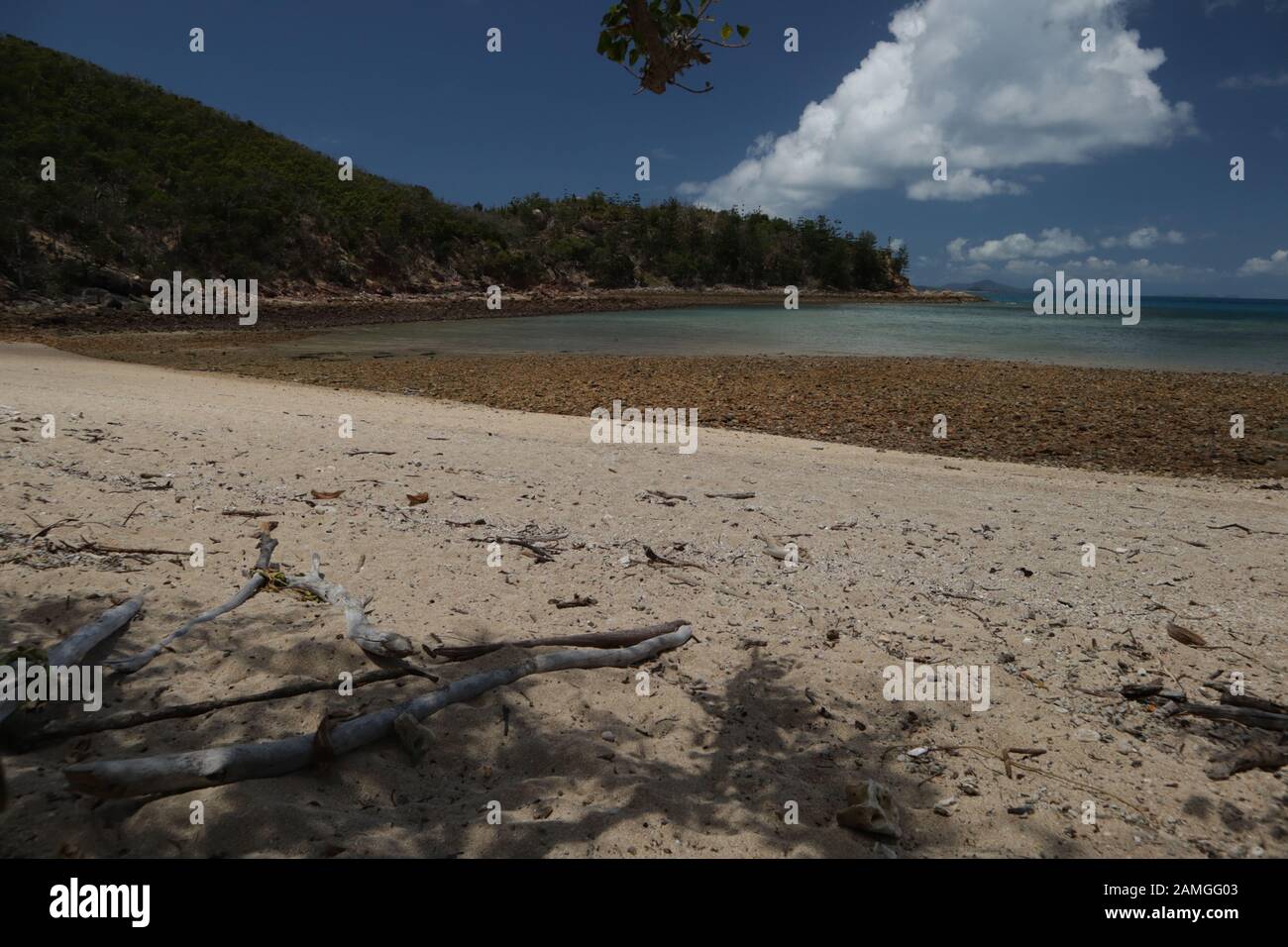 Hamilton island beach australia hi-res stock photography and images - Alamy