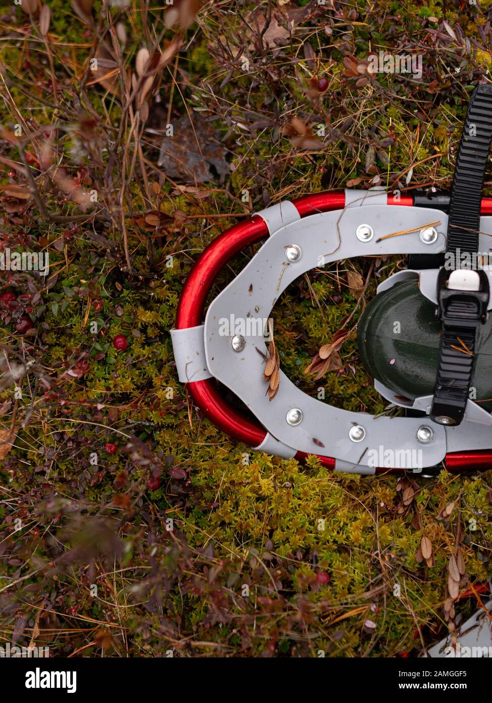 Bog shoe hi-res stock photography and images - Alamy