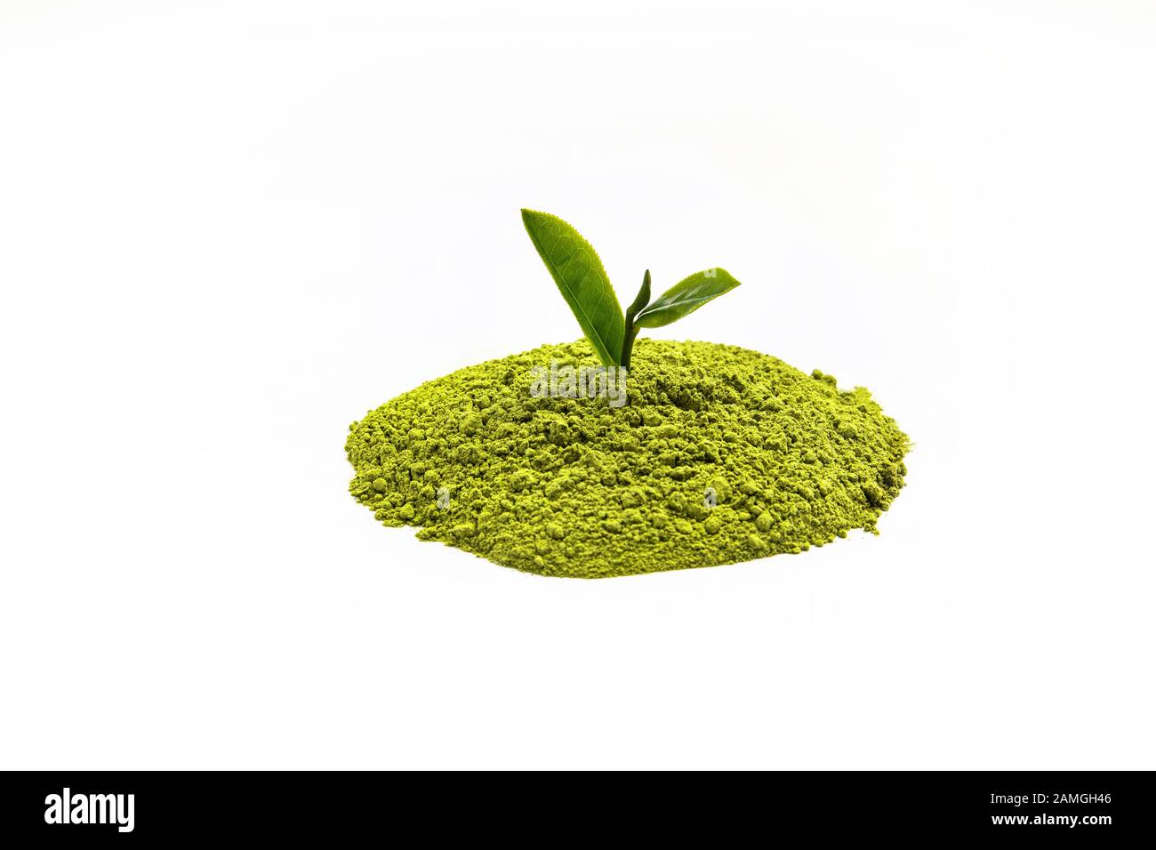Heap of extract green Tea powder on white floor background. With mini ...