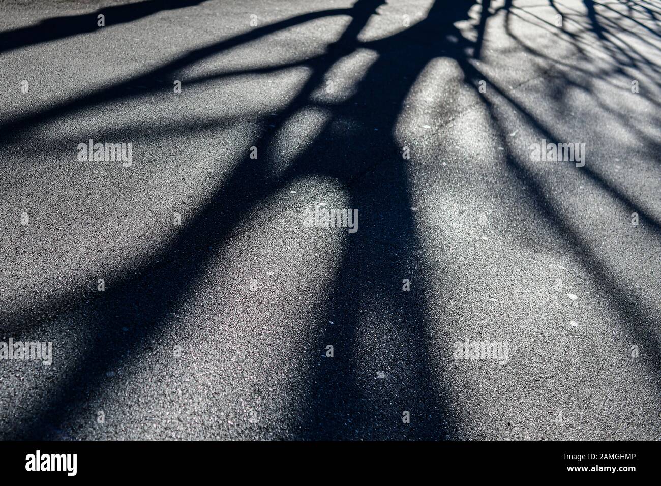 Shadow of trees hi-res stock photography and images - Alamy