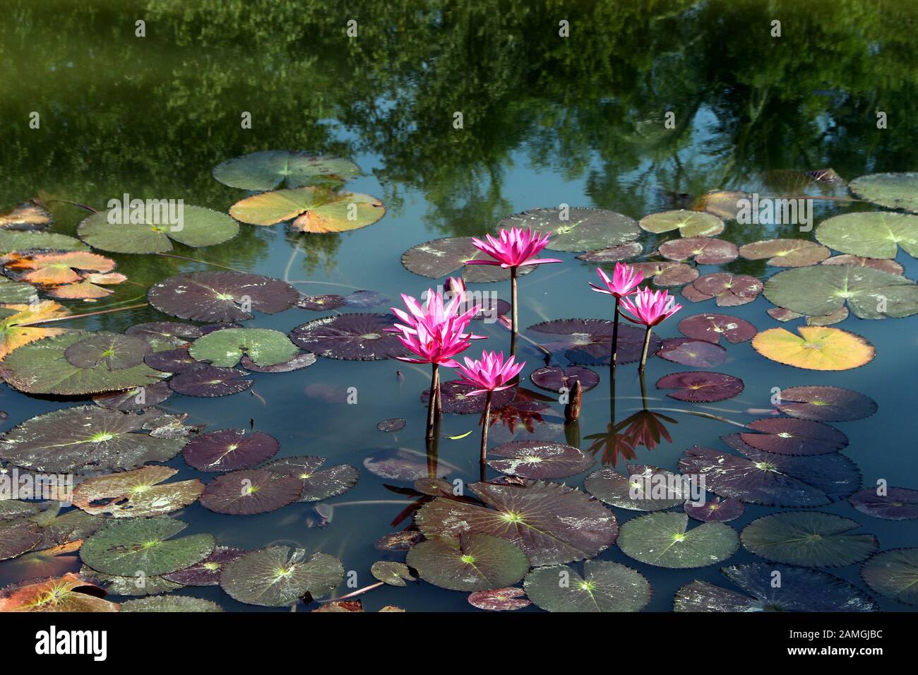 Best garden door hi-res stock photography and images - Alamy