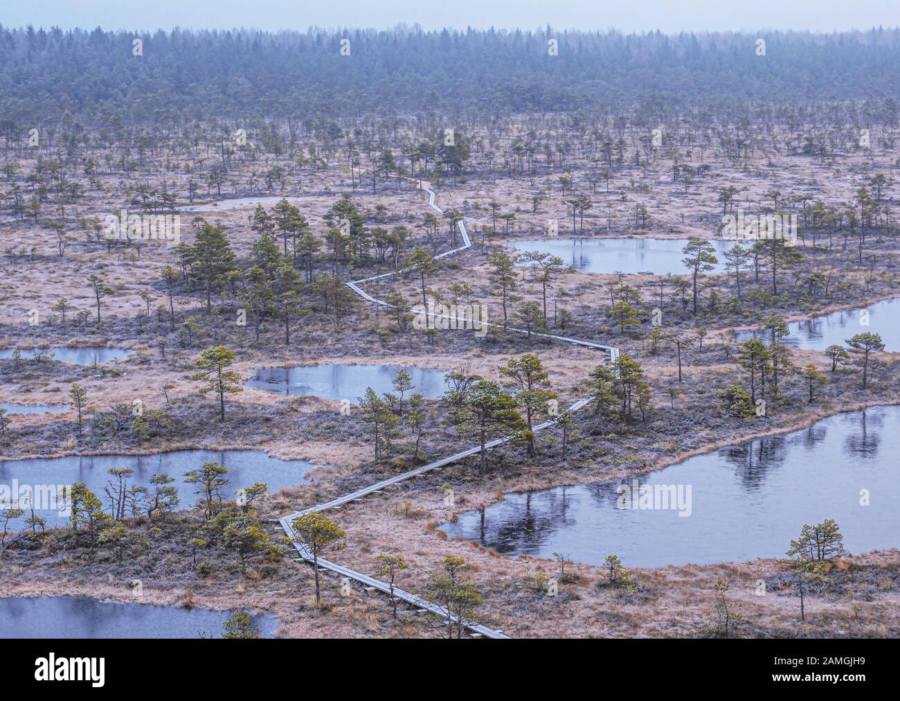 Bog Body High Resolution Stock Photography and Images - Alamy