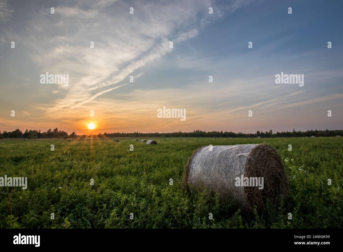 Haystacks on the field in Autumn season. Rural landscape with cloudy ...