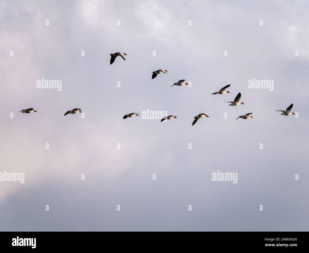 Aerodynamics hi-res stock photography and images - Alamy