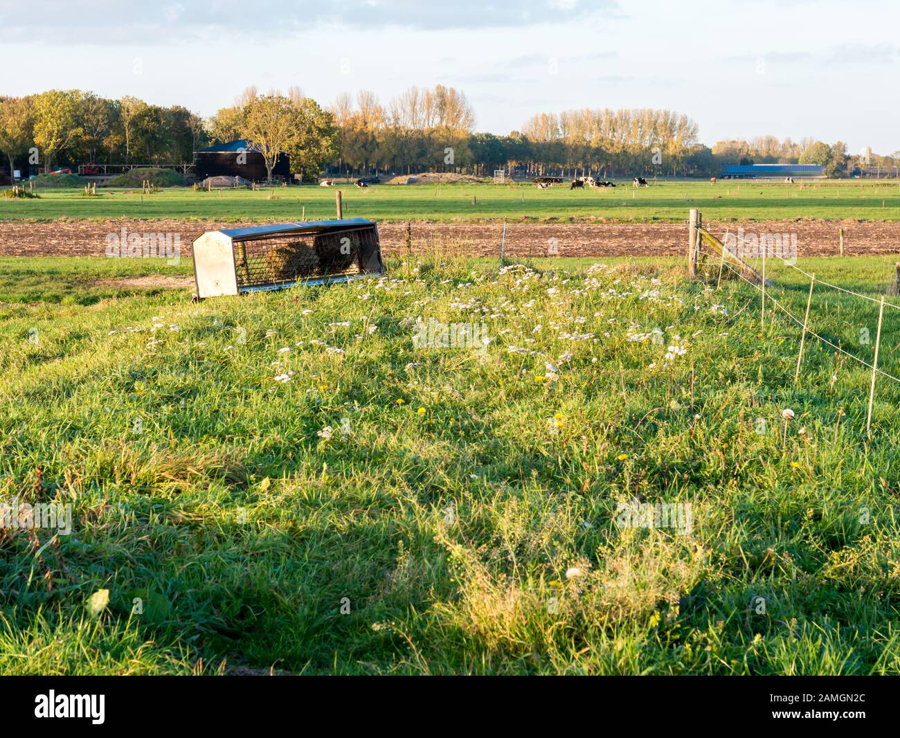Rural dutch countryside hi-res stock photography and images - Alamy