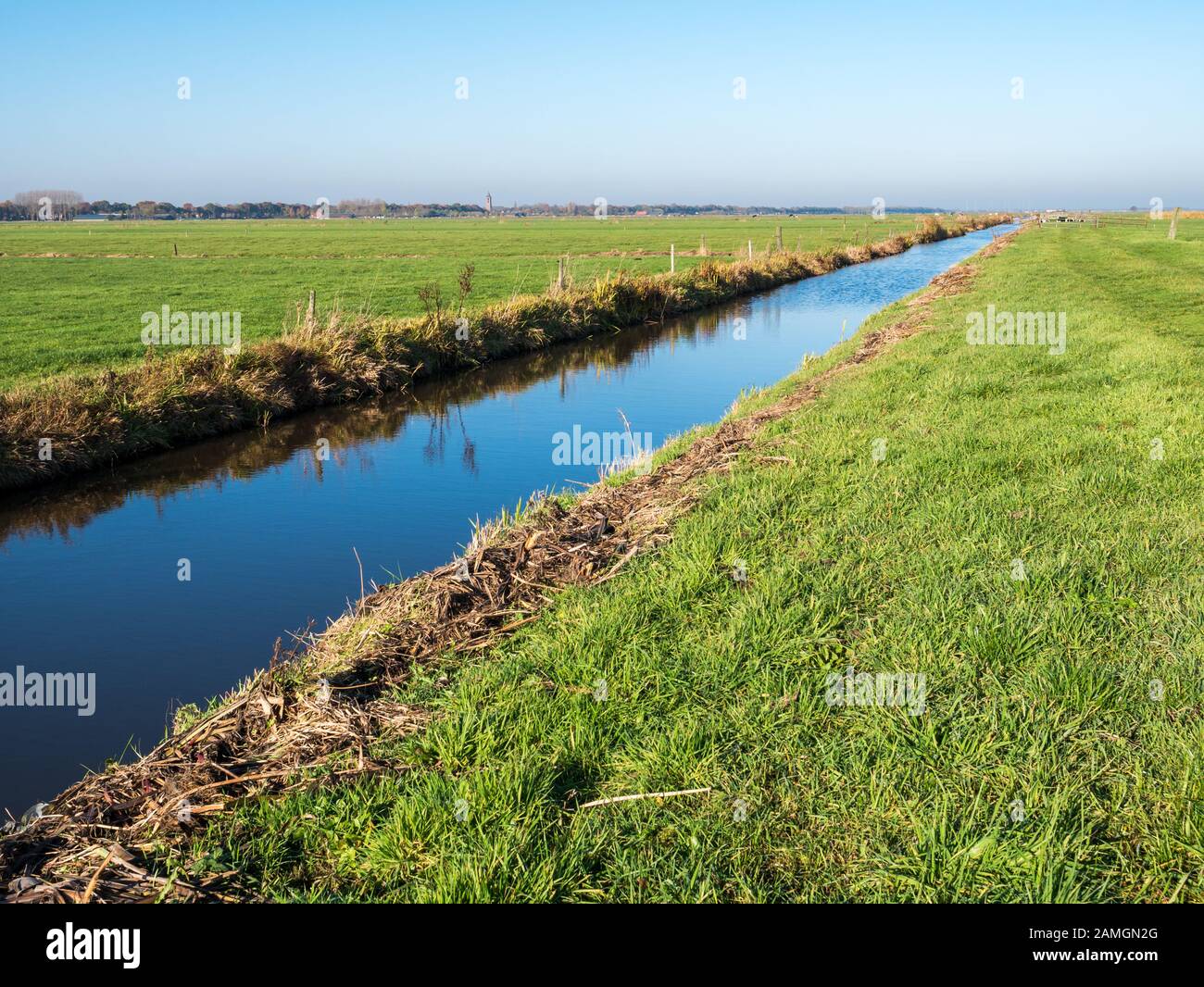 Drainage ditch and rural farmland in polder Eempolder, Netherlands ...